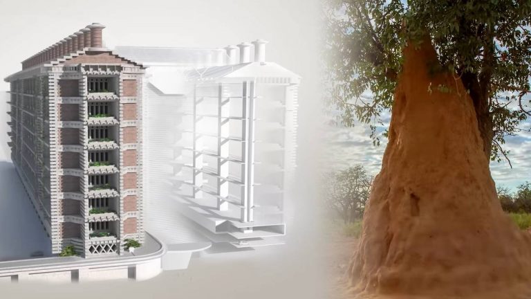 The Power of Biomimicry: Discovering Self-Cooling Buildings Inspired by ...
