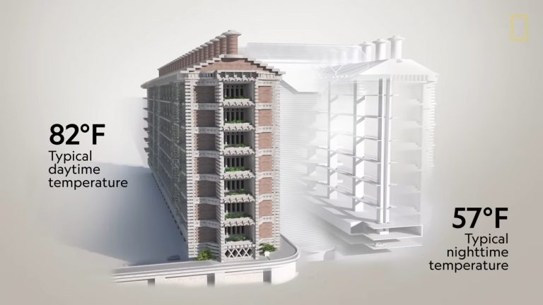 The Power of Biomimicry: Discovering Self-Cooling Buildings Inspired by ...
