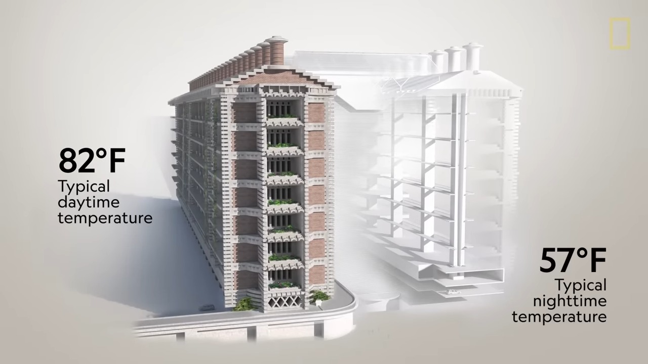 The Power of Biomimicry: Discovering Self-Cooling Buildings Inspired by ...